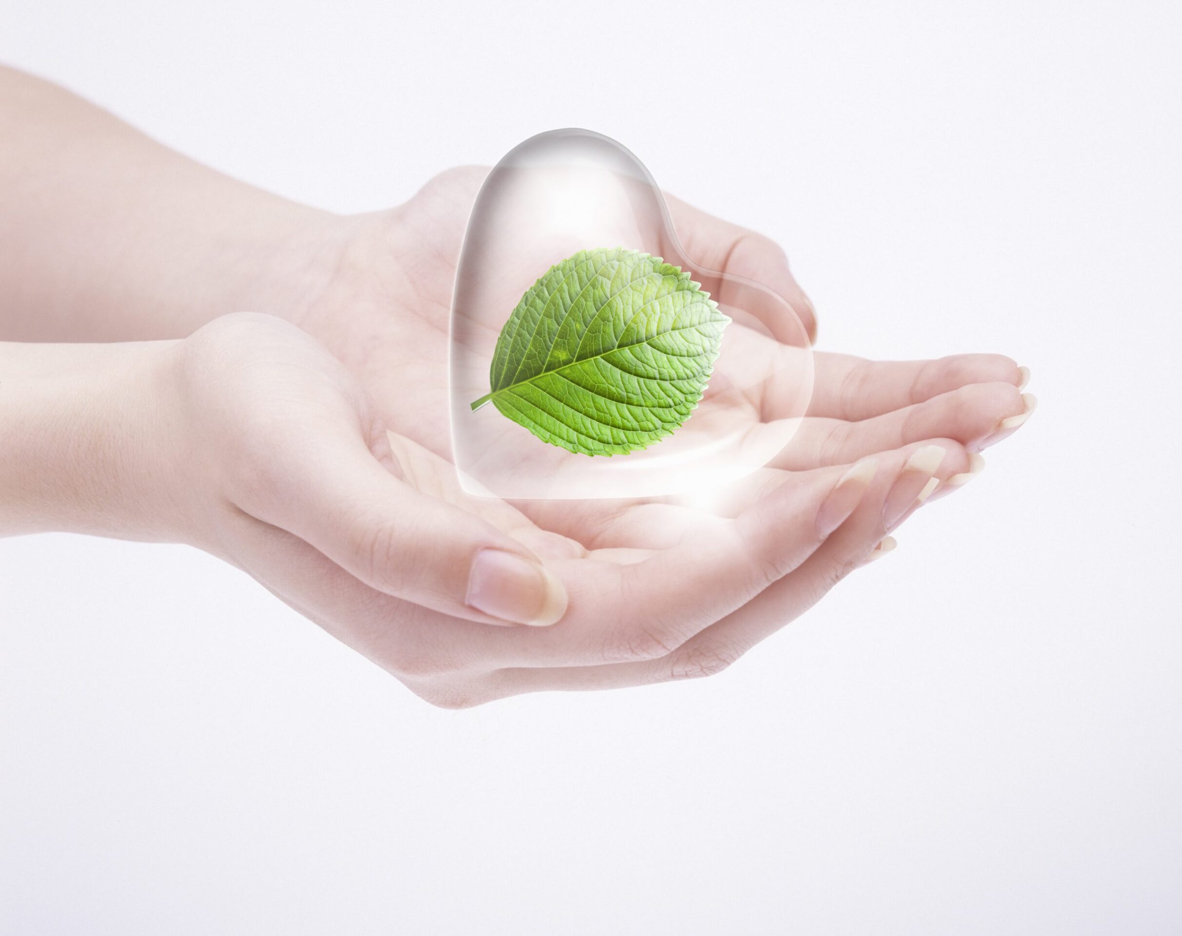 40010544_30A | 特定非営利活動法人輝HIKARI|埼玉県内で障害児・者と生きづらさを抱える方々のQOL向上を目指しています