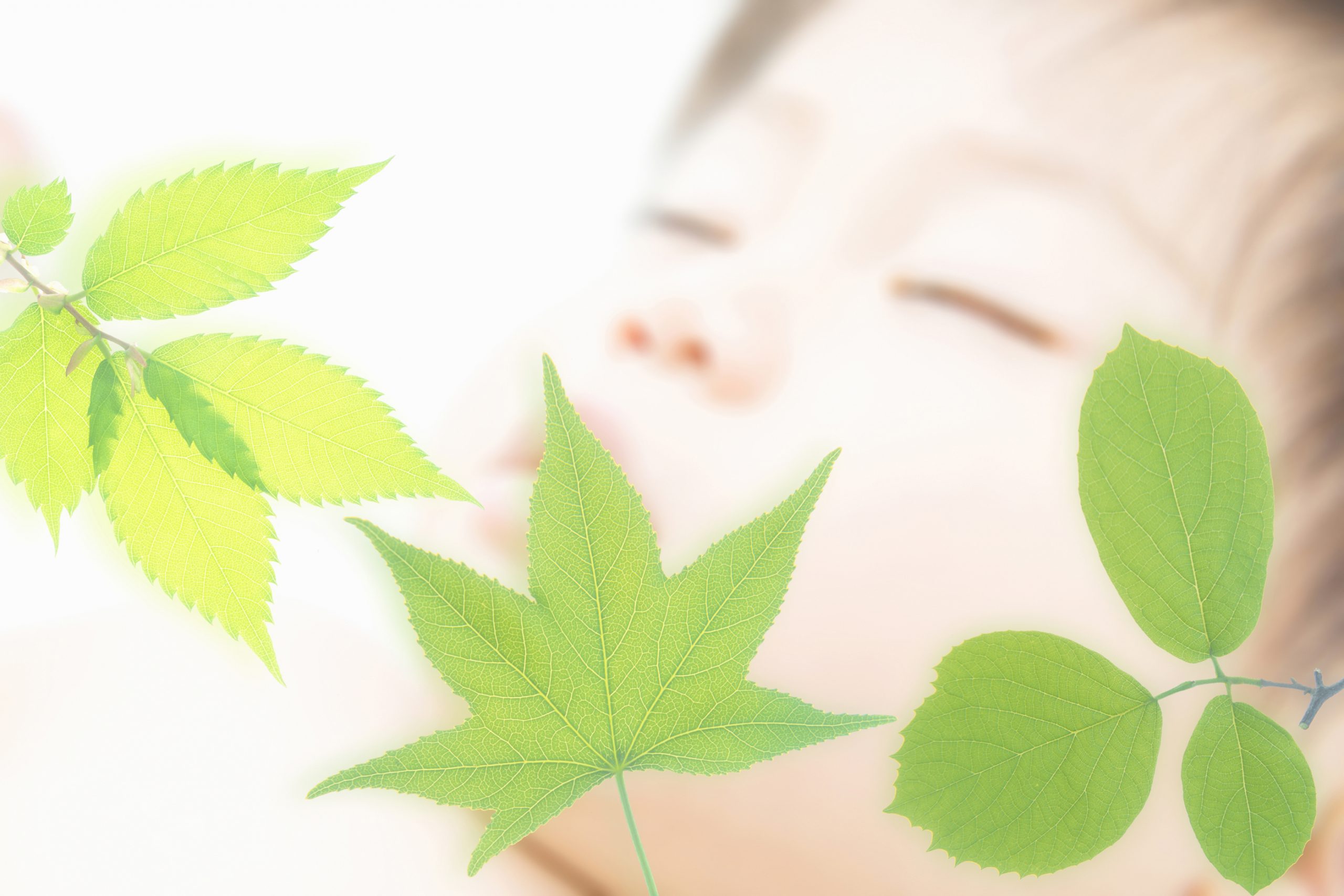 40013195_30A | 特定非営利活動法人輝HIKARI|埼玉県内で障害児・者と生きづらさを抱える方々のQOL向上を目指しています