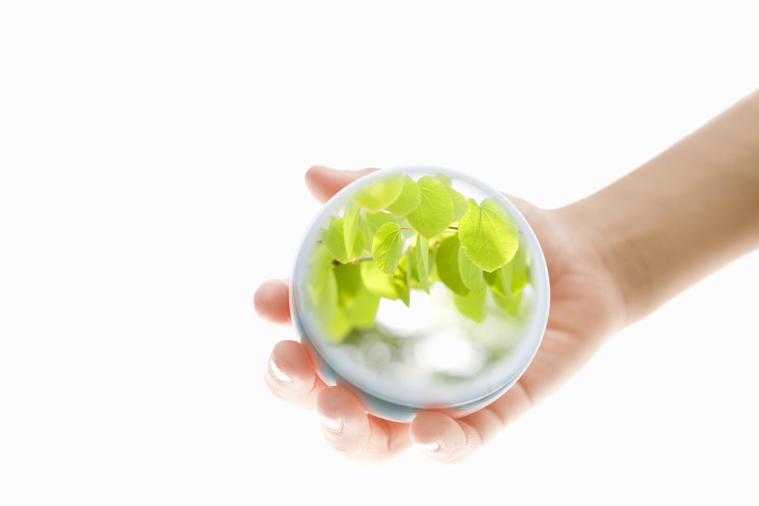 40085464_30A | 特定非営利活動法人輝HIKARI|埼玉県内で障害児・者と生きづらさを抱える方々のQOL向上を目指しています