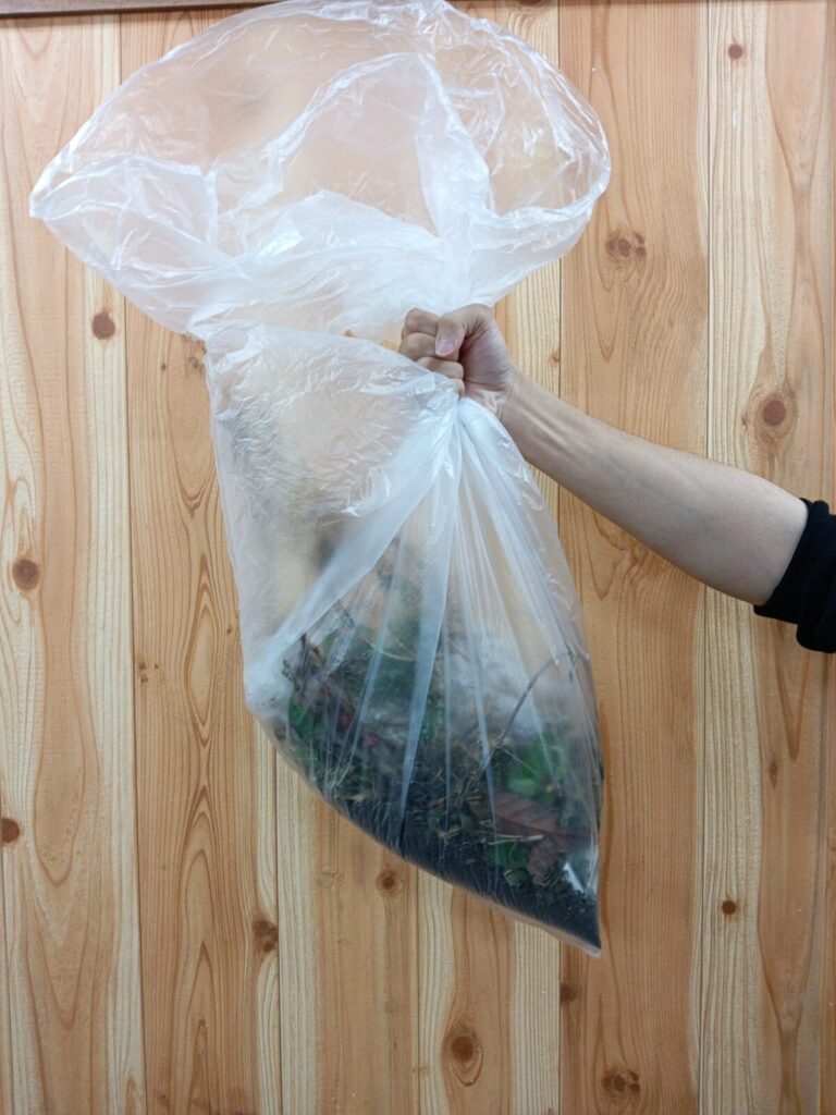 春のお掃除活動🌿🌸 | 特定非営利活動法人輝HIKARI|埼玉県内で障害児・者と生きづらさを抱える方々のQOL向上を目指しています